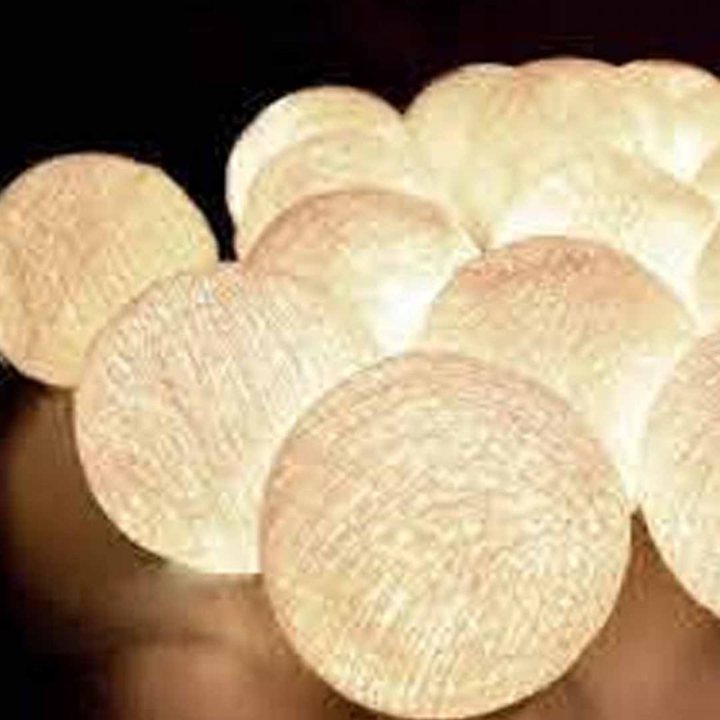 White Cotton Ball Tree