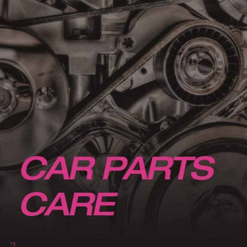 Car Motor Flush Engine Cleaner 443ml - Flamingo Brand