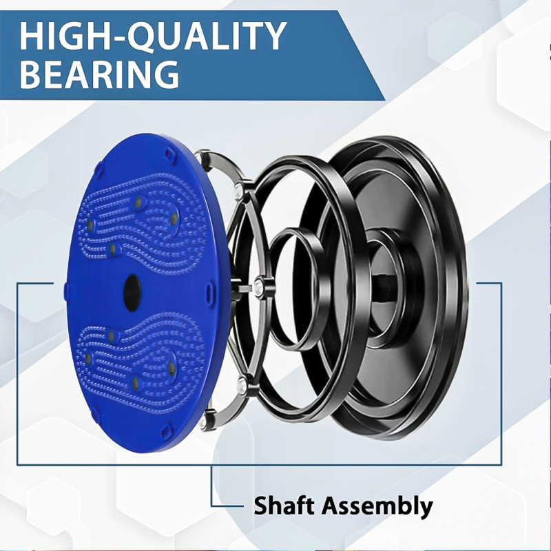 Buy Waist Exercise Twister Disc Plate Online | Shopright.pk