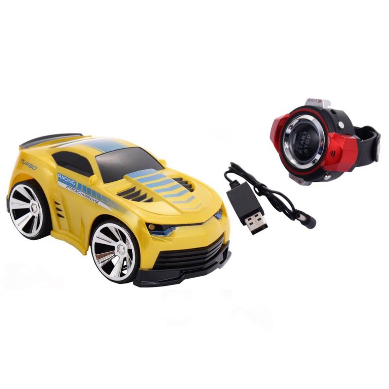 Voice Control RC Car with Smart Watch
